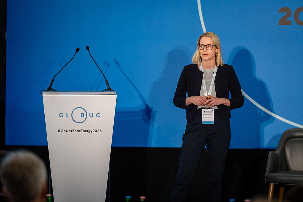 Rystad Energy: Insights on CEE's Net Zero Path - Globuc